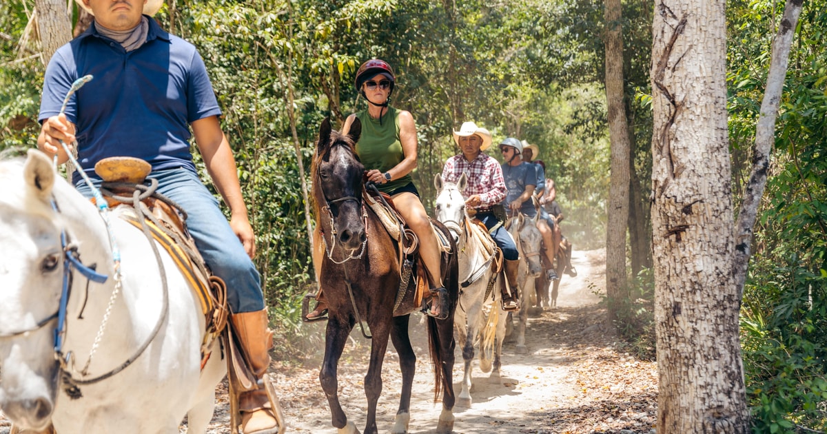 Rider Tour | GetYourGuide