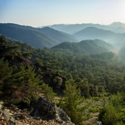 Paphos: Private Troodos Mountains Jeep Safari & Wine Tasting | GetYourGuide