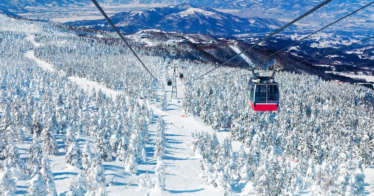 Desde Tokio: Excursión de 2 días a Ginzan Onsen y los Monstruos de las ...