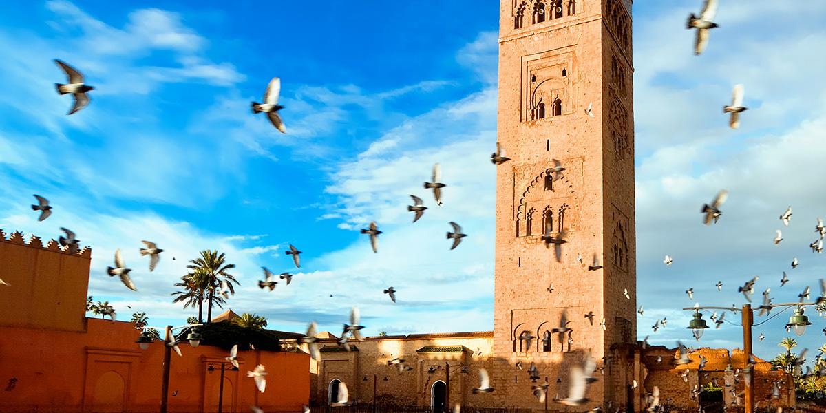 Marrakech: Stadsrondleiding met gids van een halve dag | GetYourGuide