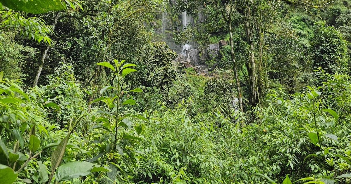 Bogotá: Visit Colombia's Highest Waterfalls & Guadalupe Hill | GetYourGuide