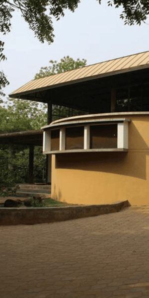 Auroville Guided Walking Tour | GetYourGuide