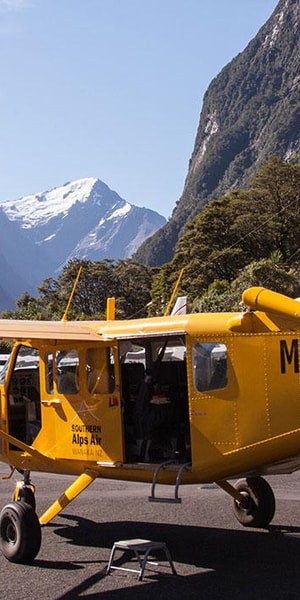 From Wanaka: Milford Sound Flight with Landing & Glaciers | GetYourGuide