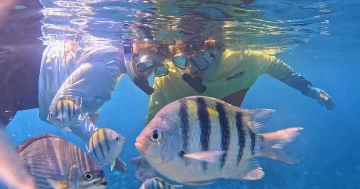 Roatan: Schnorcheln am Maya-Riff und West End Beach Tour | GetYourGuide