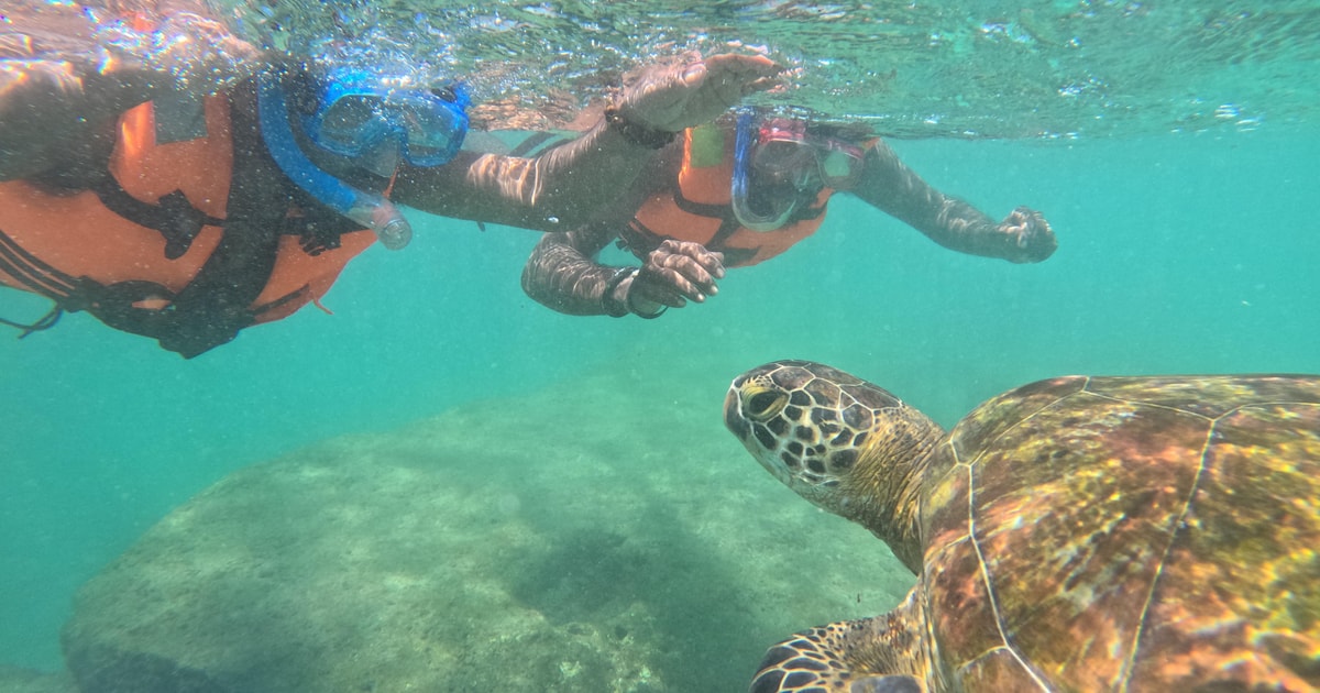 Mirissa: Private Turtle Snorkeling and Photography Tour | GetYourGuide