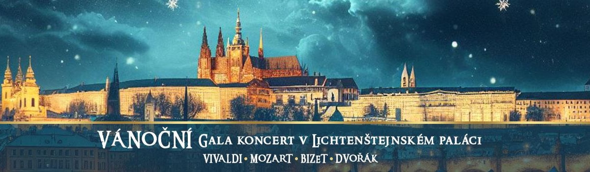 CHRISTMAS GALA CONCERTS AT THE LIECHTENSTEIN PALACE | GetYourGuide