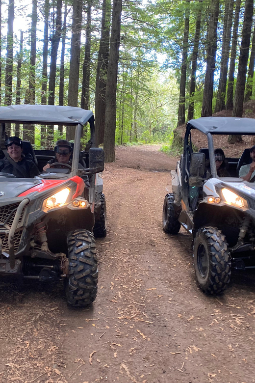 OFF-ROAD BUGGY DRIVING EXPERIENCE | GetYourGuide