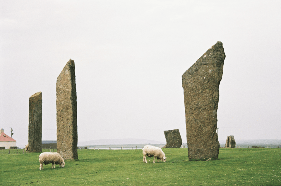 Excursie aan wal Kirkwall: Hoogtepunten van Orkney in een kleine groep ...