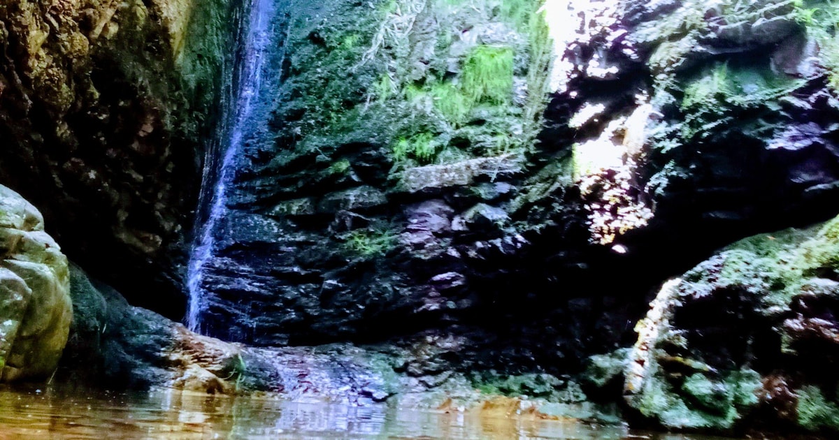 Waterfall Hike | GetYourGuide