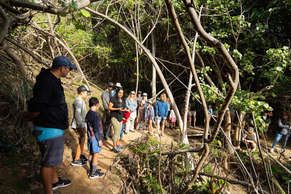 Broken Head Aboriginal Tour | GetYourGuide