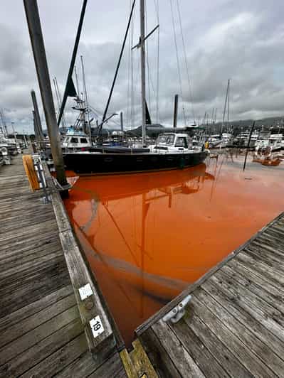 Ketchikan Photo Safari | GetYourGuide