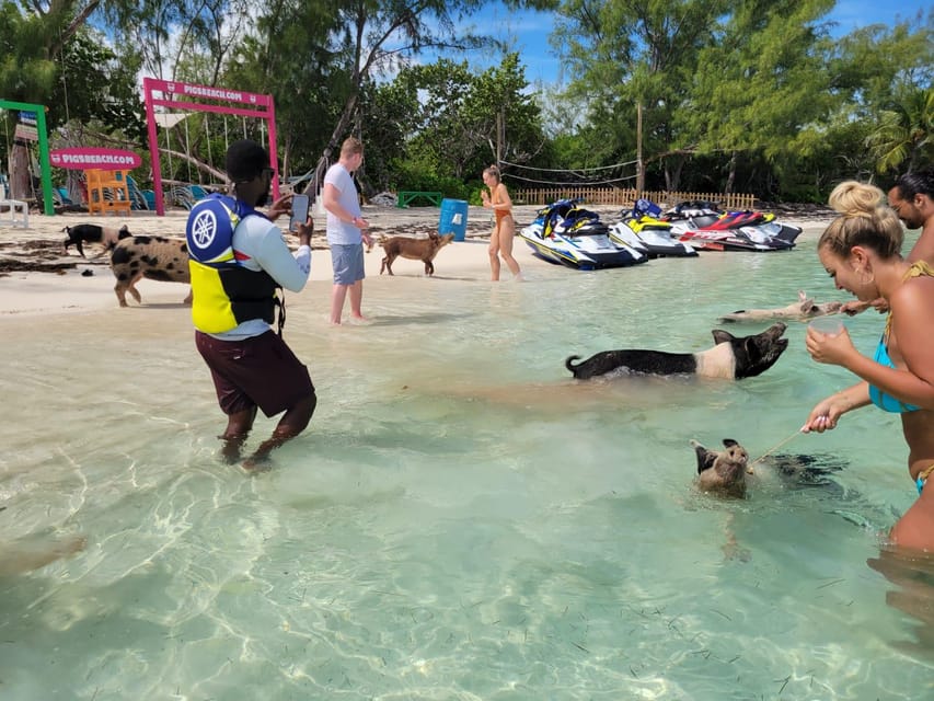 Nassau: Guided Jet Ski Tour and Swimming with Pigs | GetYourGuide