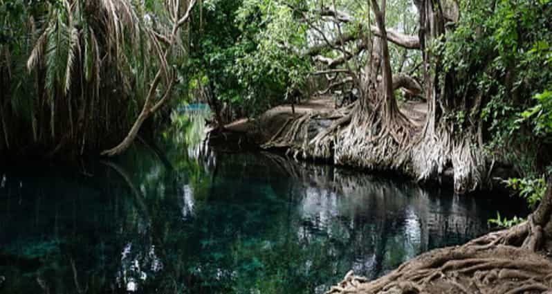 Chemka oder Kikuletwa Hot Springs | GetYourGuide