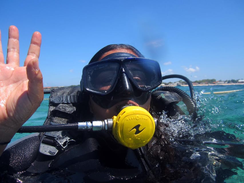 Bali: Scuba Diving For Beginner Experience | GetYourGuide
