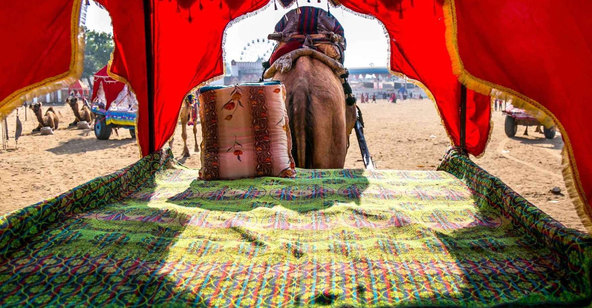 Holy Pushkar and Ajmer Trails (Guided Full Day Tour) | Private Tour in Pushkar