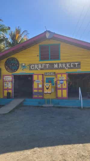 Roatan: Zipline, Sloths & Monkeys hang out plus Island Tour | GetYourGuide