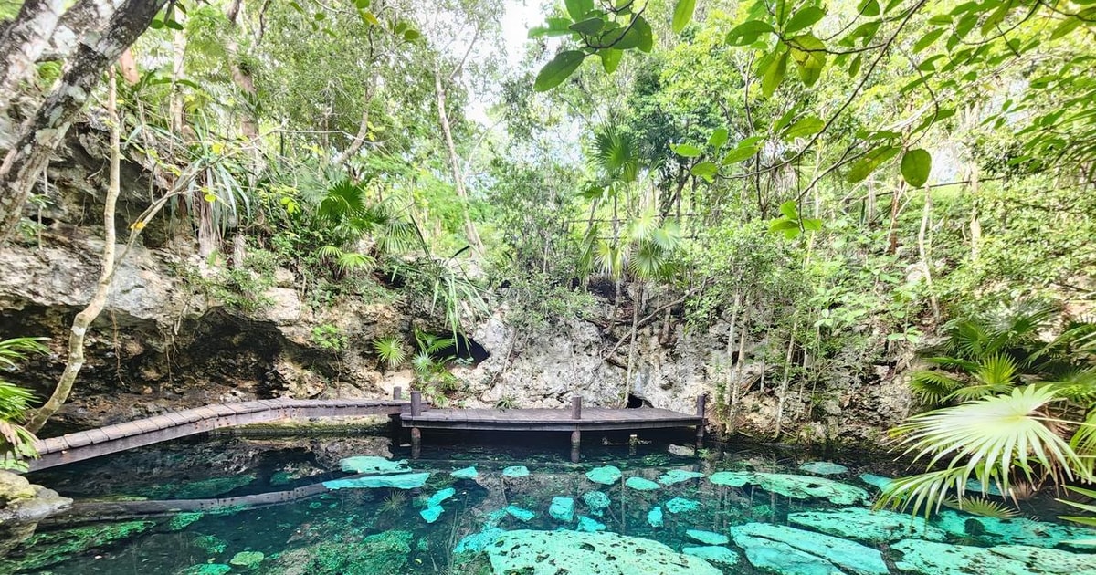 Snorkeling en Cenote | GetYourGuide