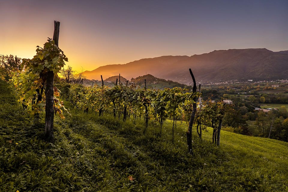 Valdobbiadene: Prosecco private tour & taste with Sommelier | GetYourGuide