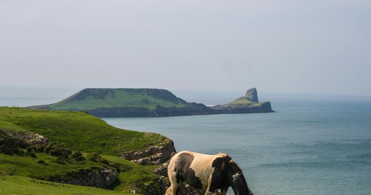 Cardiff: Private Day Tour Gower's Cliffs & Beaches | GetYourGuide