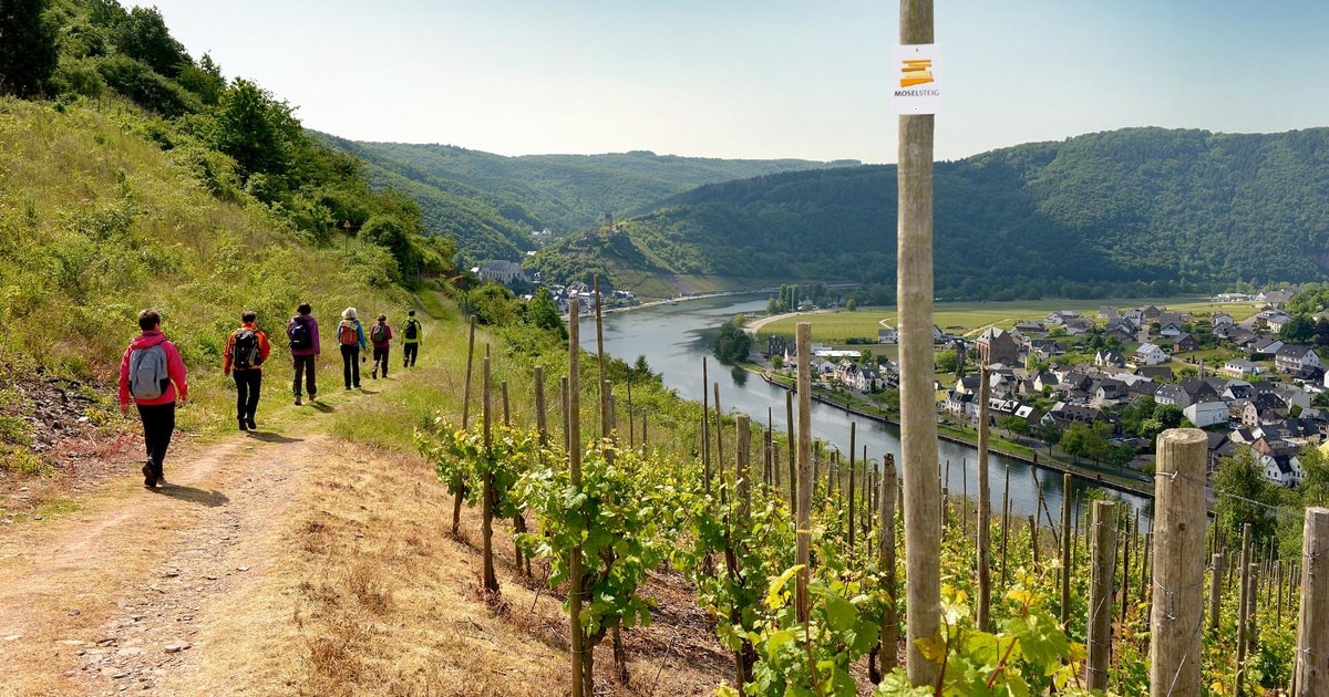 Cochem, Moselle: Wine experience hike with boat | GetYourGuide