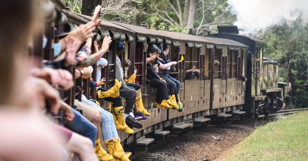 Pick Up from City | Steam Train and Penguin Parade Day Tour | GetYourGuide