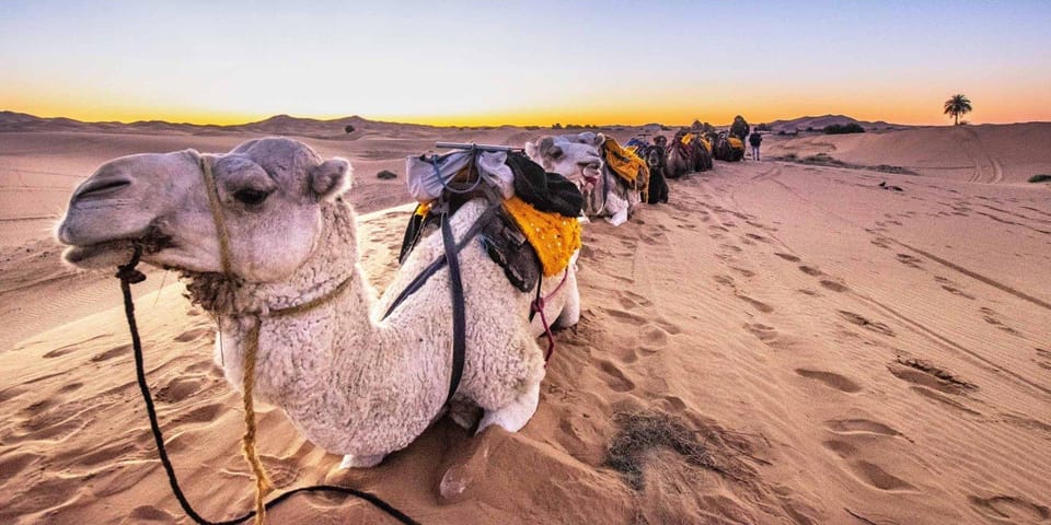 TOUR 2 DAYS 1 NIGHT IN ZAGORA DESERT AND DARAA VALLY | GetYourGuide