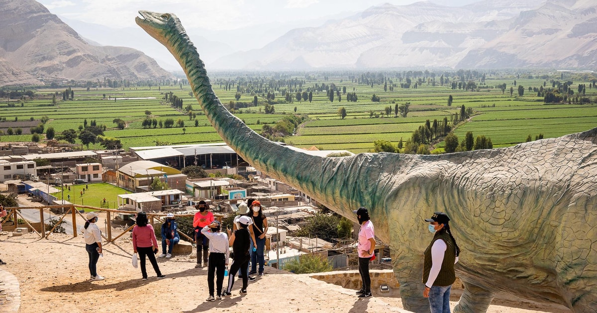 AREQUIPA: Dead Bull Petroglyphs and Dinosaur Footprints | GetYourGuide