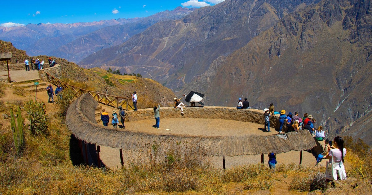 Da Arequipa: Tour del Colca Canyon di un giorno intero con colazione ...