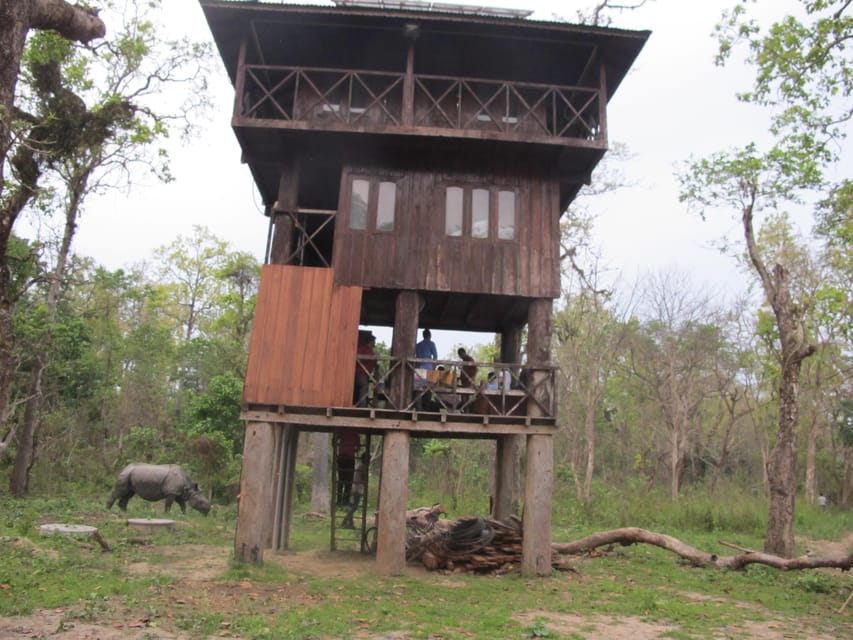Nepal: Chitwan National Park 3-Day Jungle Tower Stay | GetYourGuide