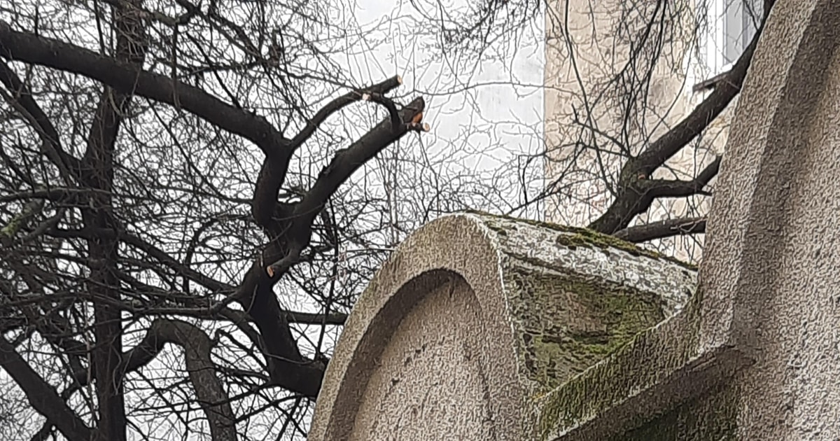 Krakow Jewish Ghetto Tour | GetYourGuide