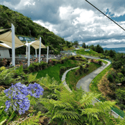 New Zealand Skyline Rotorua: Gondola + Buffet Dinner | GetYourGuide