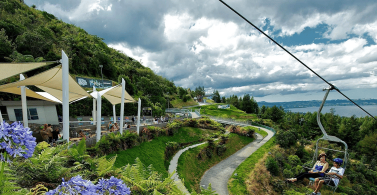 New Zealand Skyline Rotorua: Gondola + Buffet Dinner | GetYourGuide