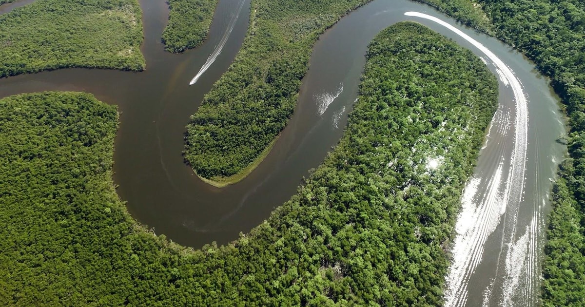 Iquitos : Visite de l'Amazonie en 2 jours | GetYourGuide
