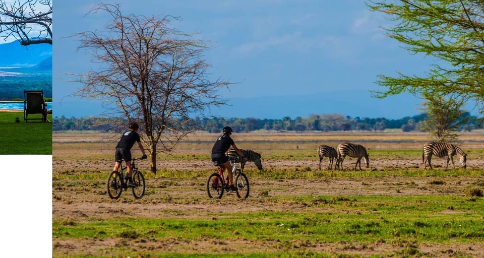 3 DAYS ARUSHA TO LAKE MANYARA BIKING TOUR | GetYourGuide