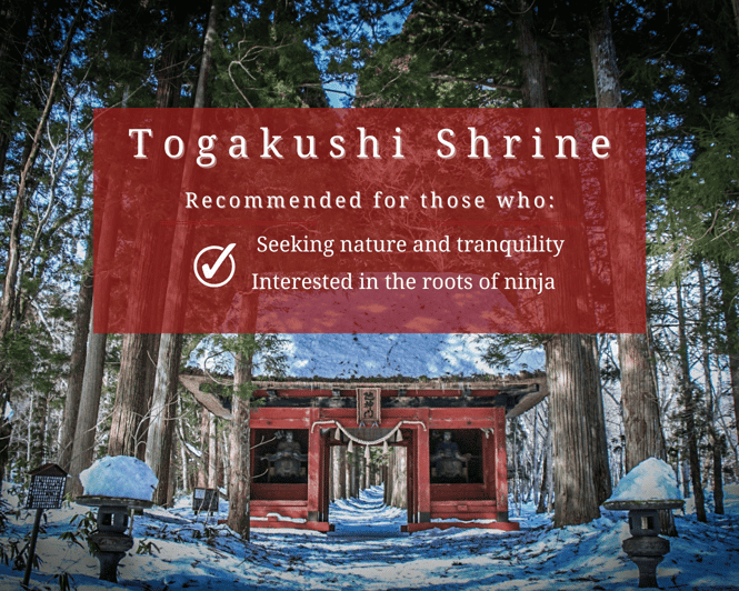 【Private Tour】[Togakushi Shrine] From Nagano/Myoko | GetYourGuide