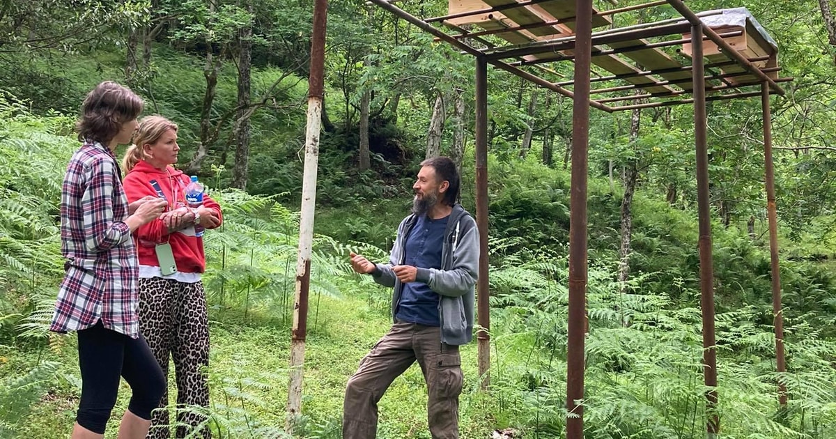 Batumi: Süßer Ausflug und Mtirala-Wald | GetYourGuide