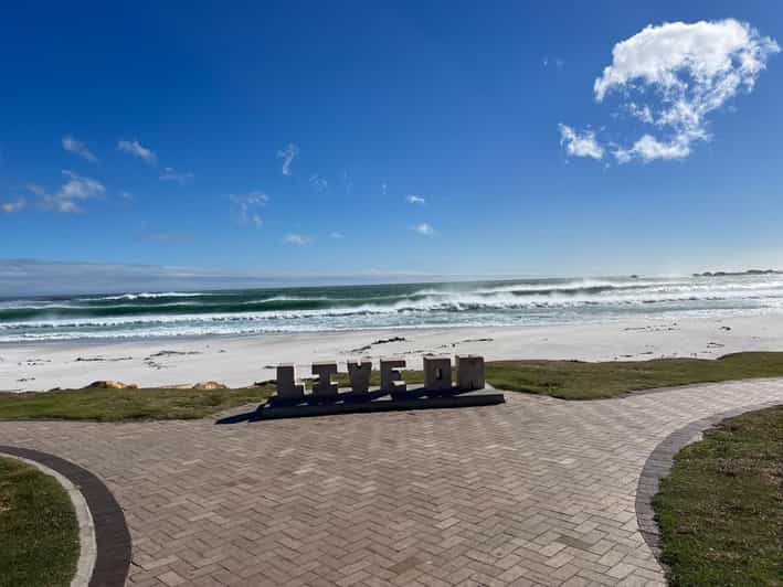 Full-Day Private Cape Town’s Most Beautiful Beaches Tour | GetYourGuide