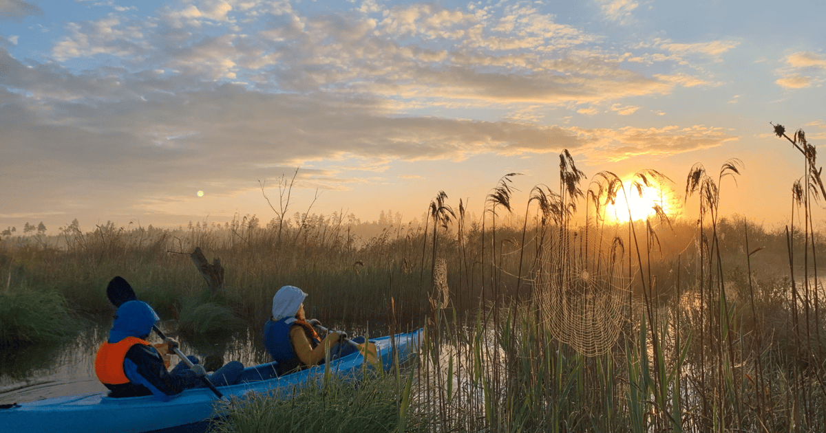 Riga: Sunrise kayak tour with pick-up, Kemeri bog | GetYourGuide
