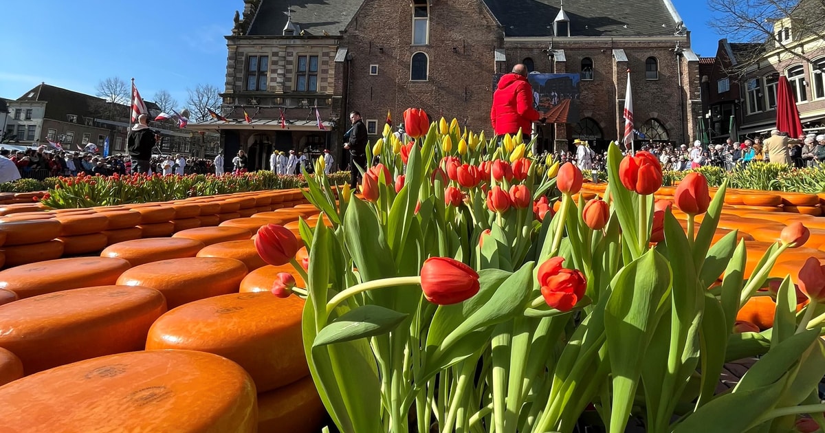 Amsterdam: Traditional Cheese Market Tour to Alkmaar | GetYourGuide