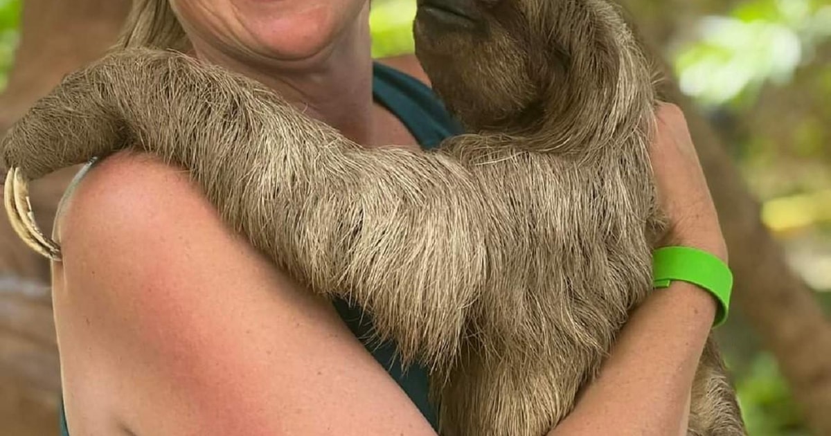 Daniel Johnson Monkey & Sloths Island Tour Combo | GetYourGuide