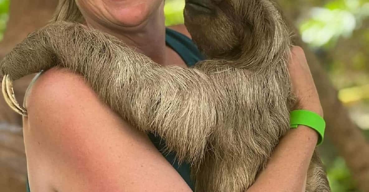 Daniel Johnson Monkey & Sloths Island Tour Combo | GetYourGuide