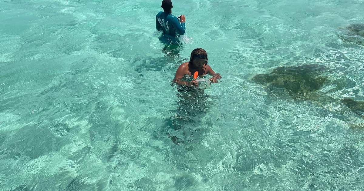 Roatan: East End Snorkeling Trip | GetYourGuide