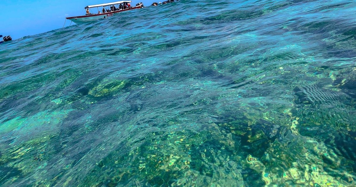 カルタヘナ：4つの島をめぐるアドベンチャー（朝食と昼食付き） | GetYourGuide