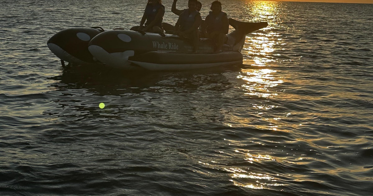 Orca Whale Rides | GetYourGuide