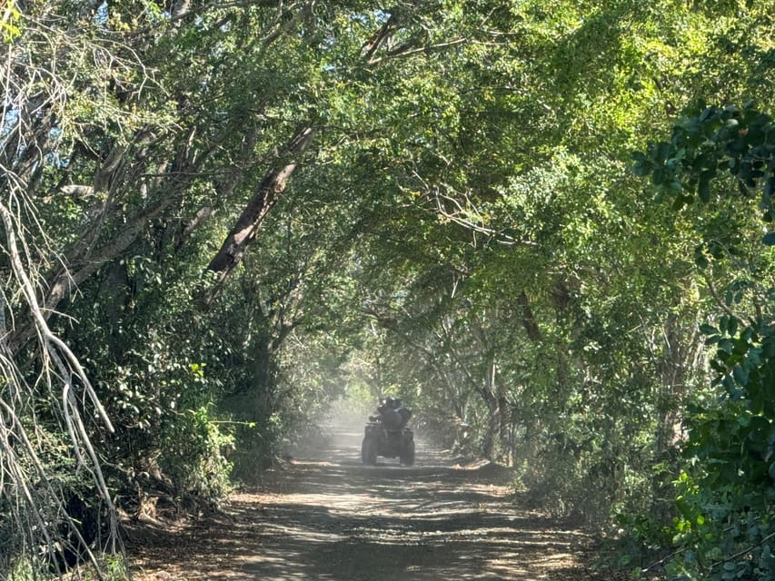 Puerto Rico: Hacienda Campo Rico ATV Experience with Pickup | GetYourGuide