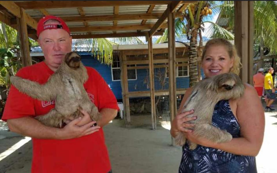 Roatan Sloths + Iguana | GetYourGuide