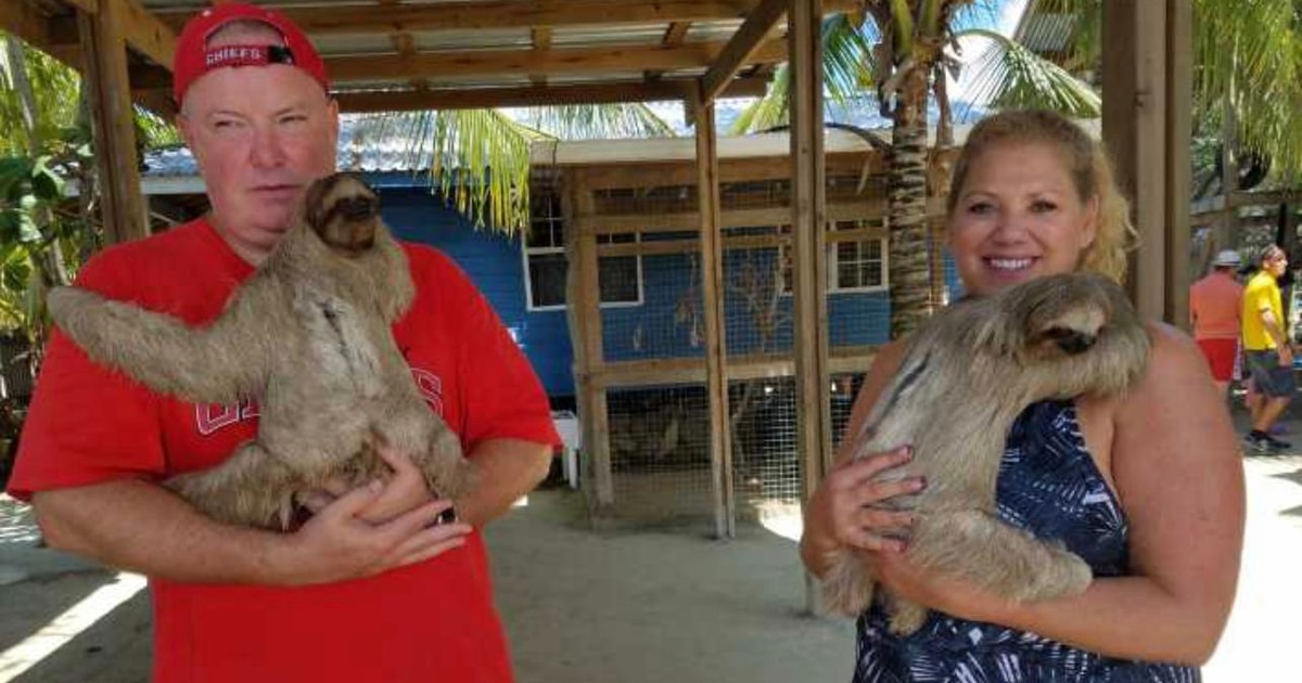Roatan Sloths + Iguana | GetYourGuide