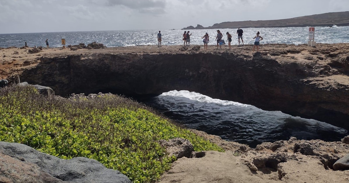 Hoogtepunten van Aruba Privétour 16 persoons ac bus | GetYourGuide