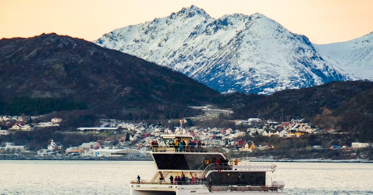 Tromsø: Hübriidelektrilise katamaraaniga vaala vaatlusretk. | GetYourGuide