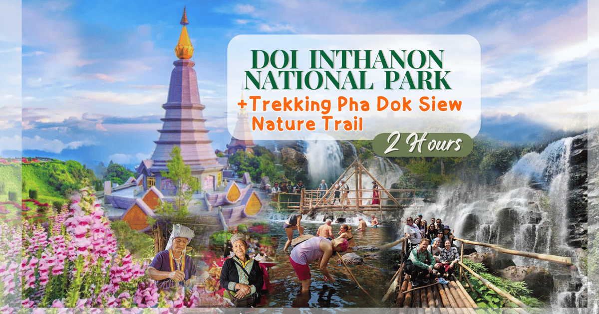 Chiang Mai: Tour del Parco Nazionale di Doi Inthanon e trekking delle cascate | GetYourGuide